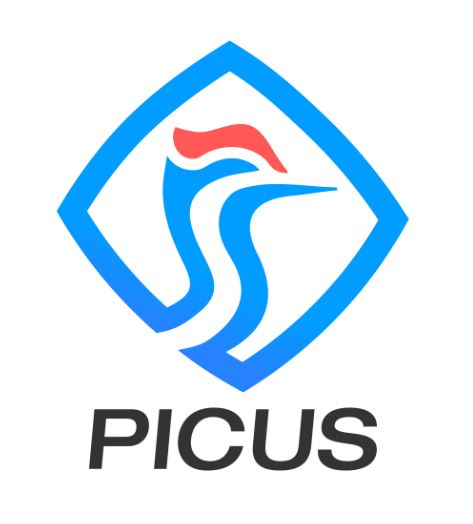 实习生-Picus Capital